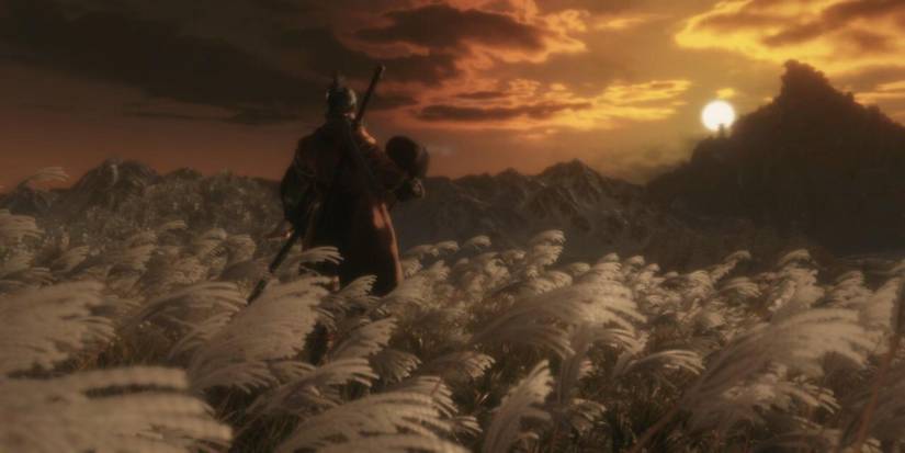 Sekiro's Divine Dragon is a Spectacle that Hits Hard on Real World and ...