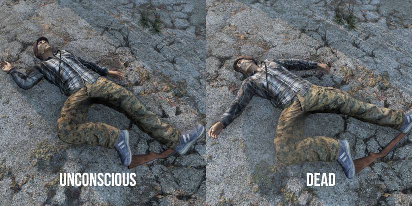 DayZ: Tips For Beginners