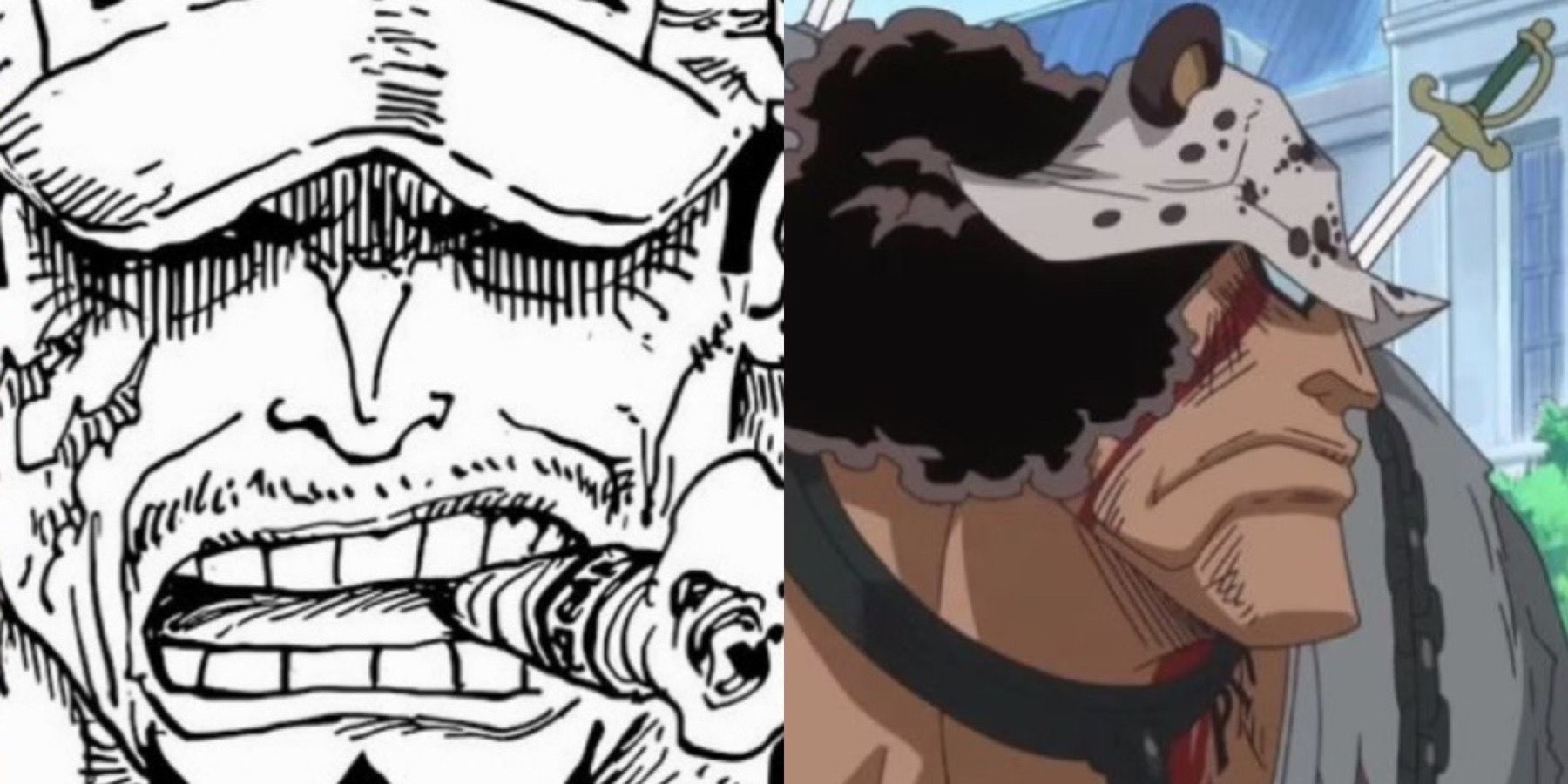 One Piece: The Marijoa Incident, Explained