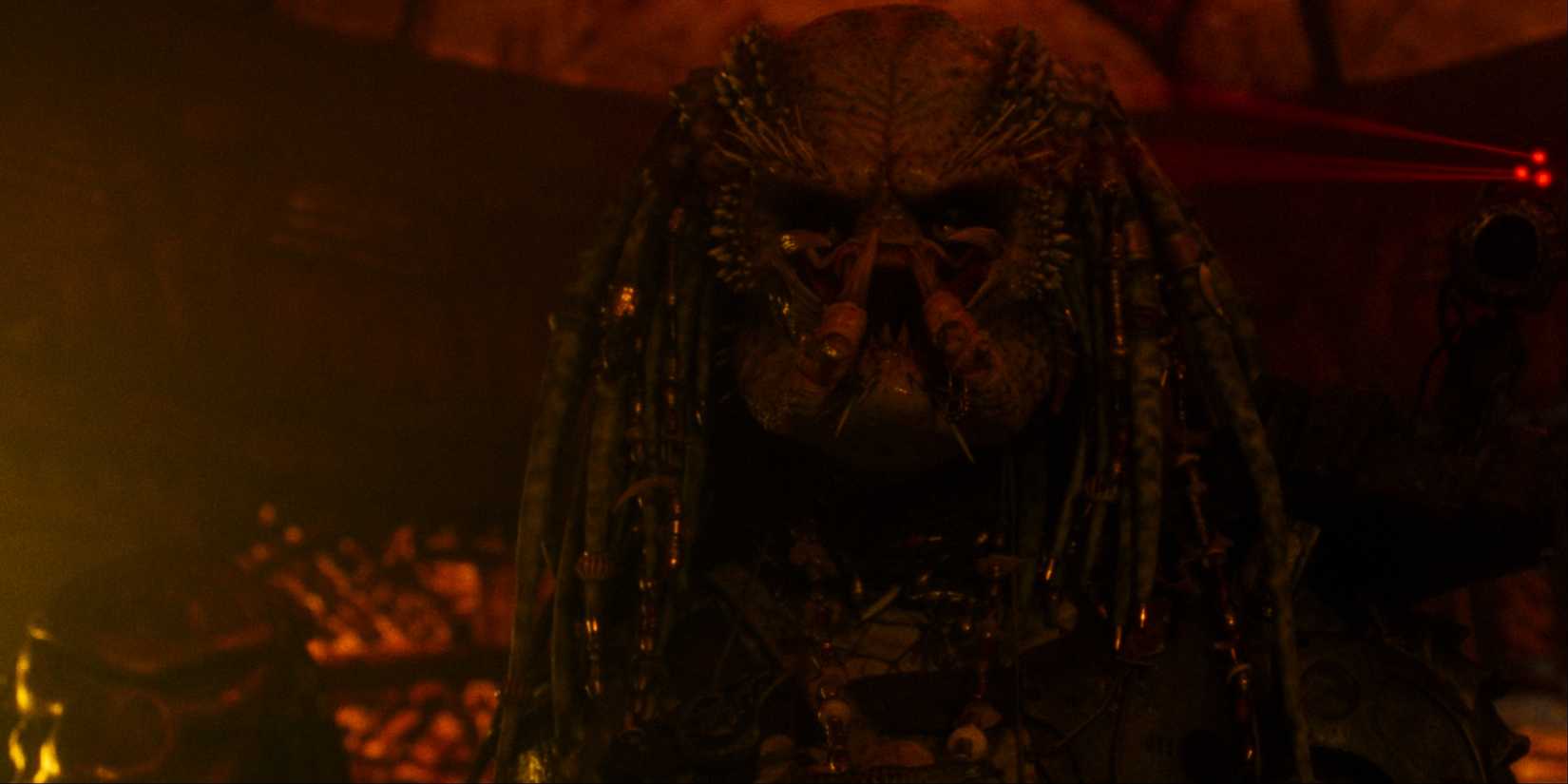 The Most Powerful Predators, Ranked