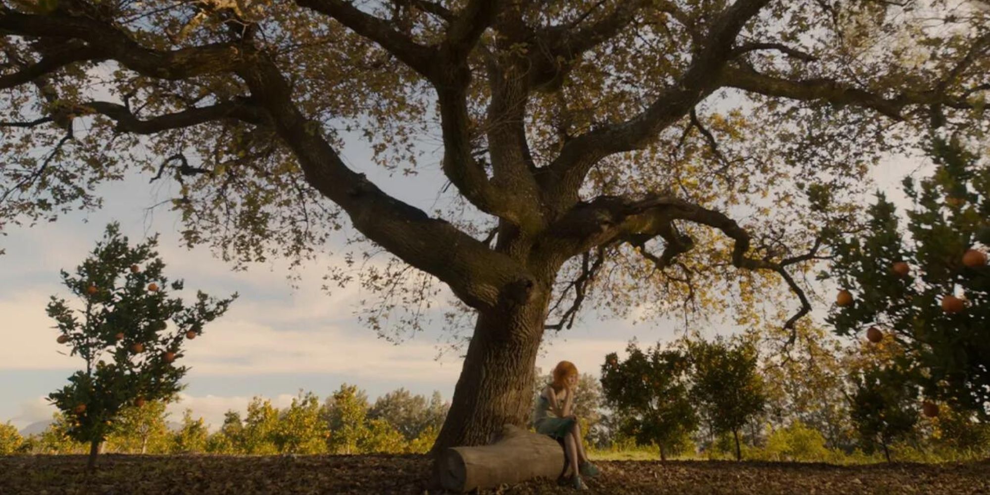 Most Beautiful Locations In One Piece Live Action Show