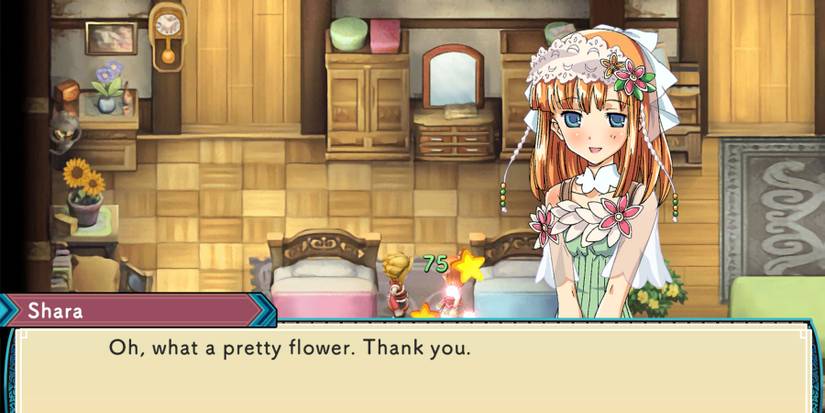 Rune Factory 3 Special: Complete Relationship Gift Guide
