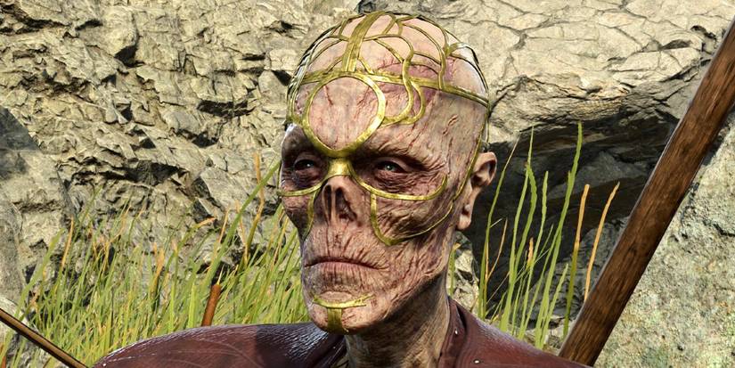 Baldur’s Gate 3: How to Recruit Withers