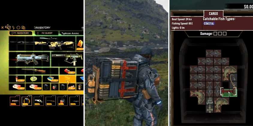 Games With Realistic Carry Capacity Systems
