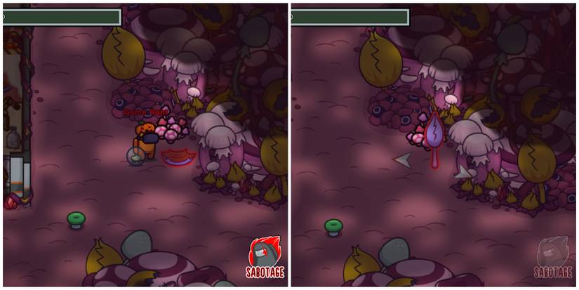 Among Us: 10 Best Things About The Fungle Map