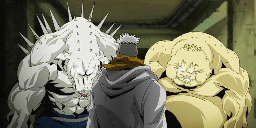 Fullmetal Alchemist: Can A Human Chimera Transformation Be Reversed?