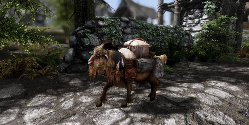 Skyrim: 10 Best Pet Mods