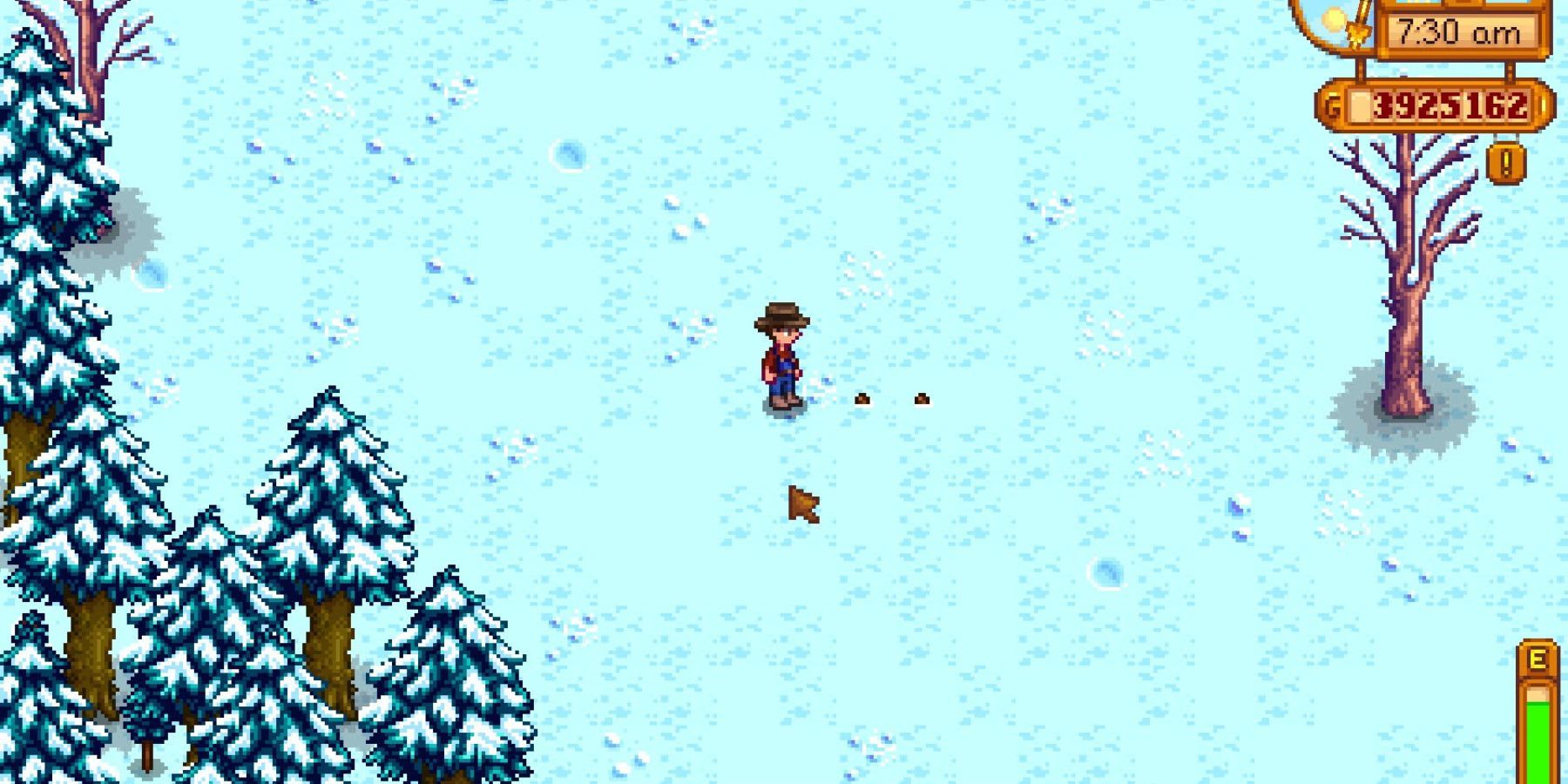 Pine Tree in Stardew Valley: Growth & Uses