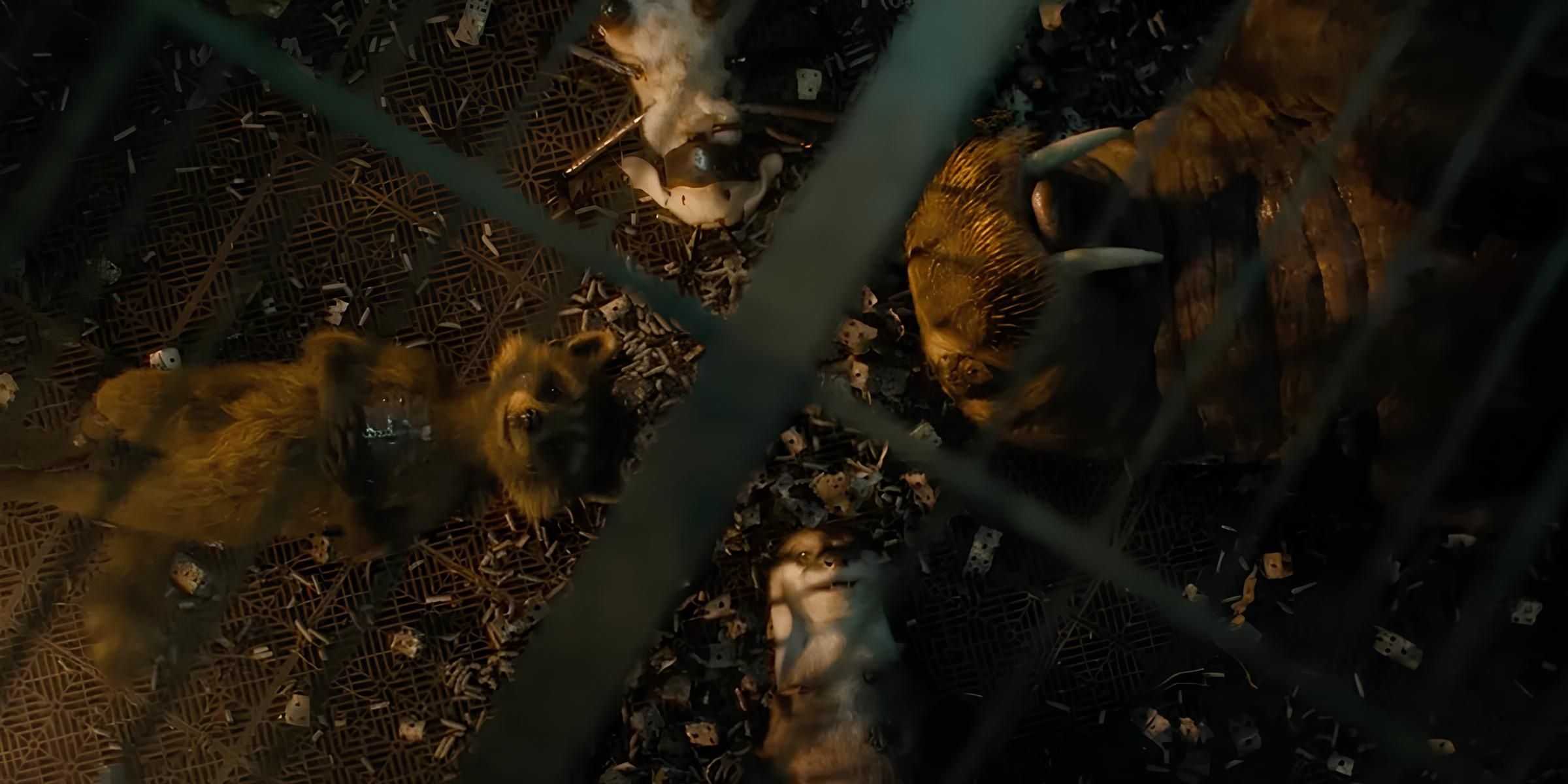 Who is Teefs in Guardians of the Galaxy?