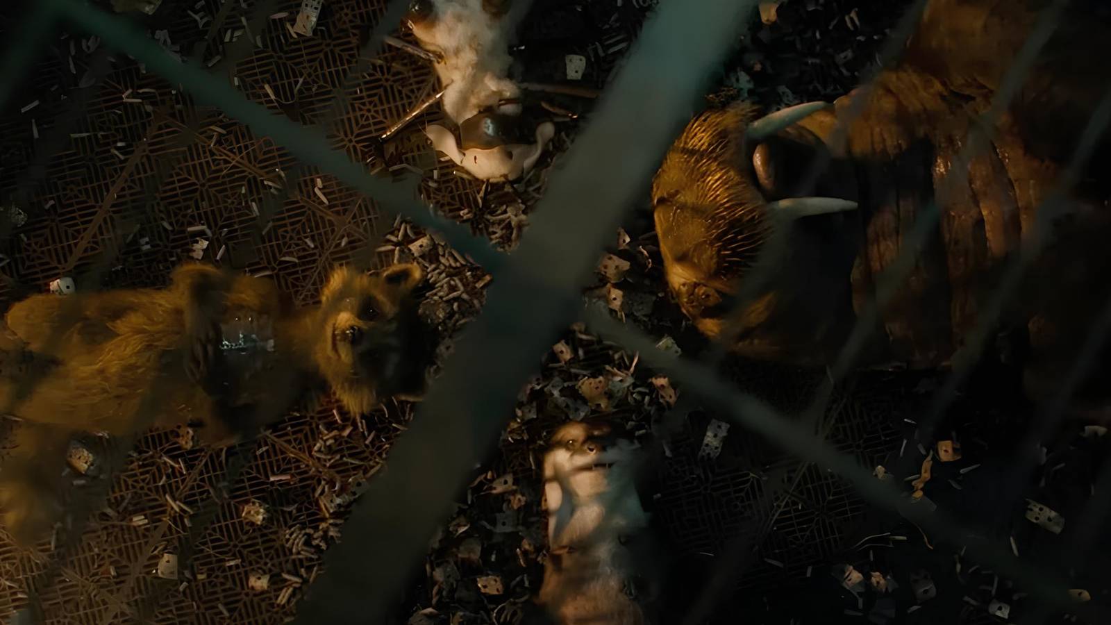 Who is Teefs in Guardians of the Galaxy?