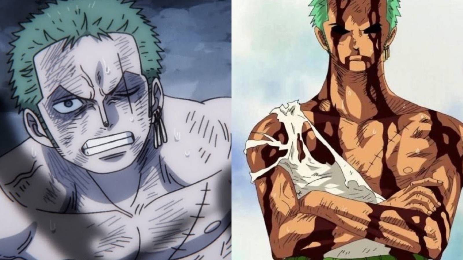 Every Time Zoro Almost Died In One Piece