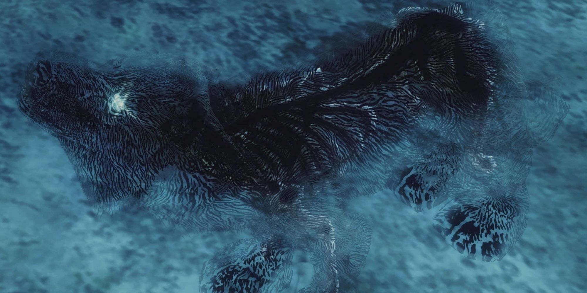 Skyrim: 10 Best Pet Mods