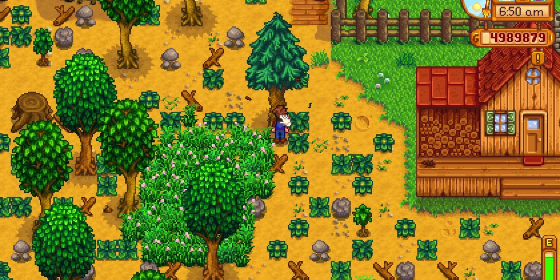 Pine Tree in Stardew Valley: Growth & Uses