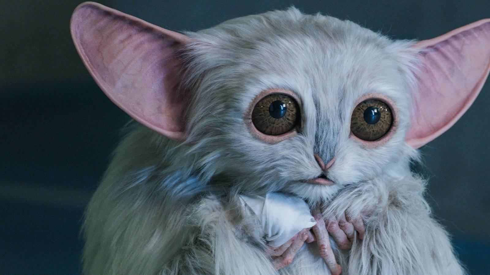 Doctor Who: The Origin Of The Meep