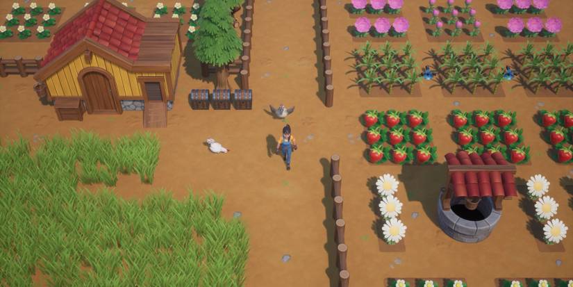 Best Cozy RPGs, Ranked