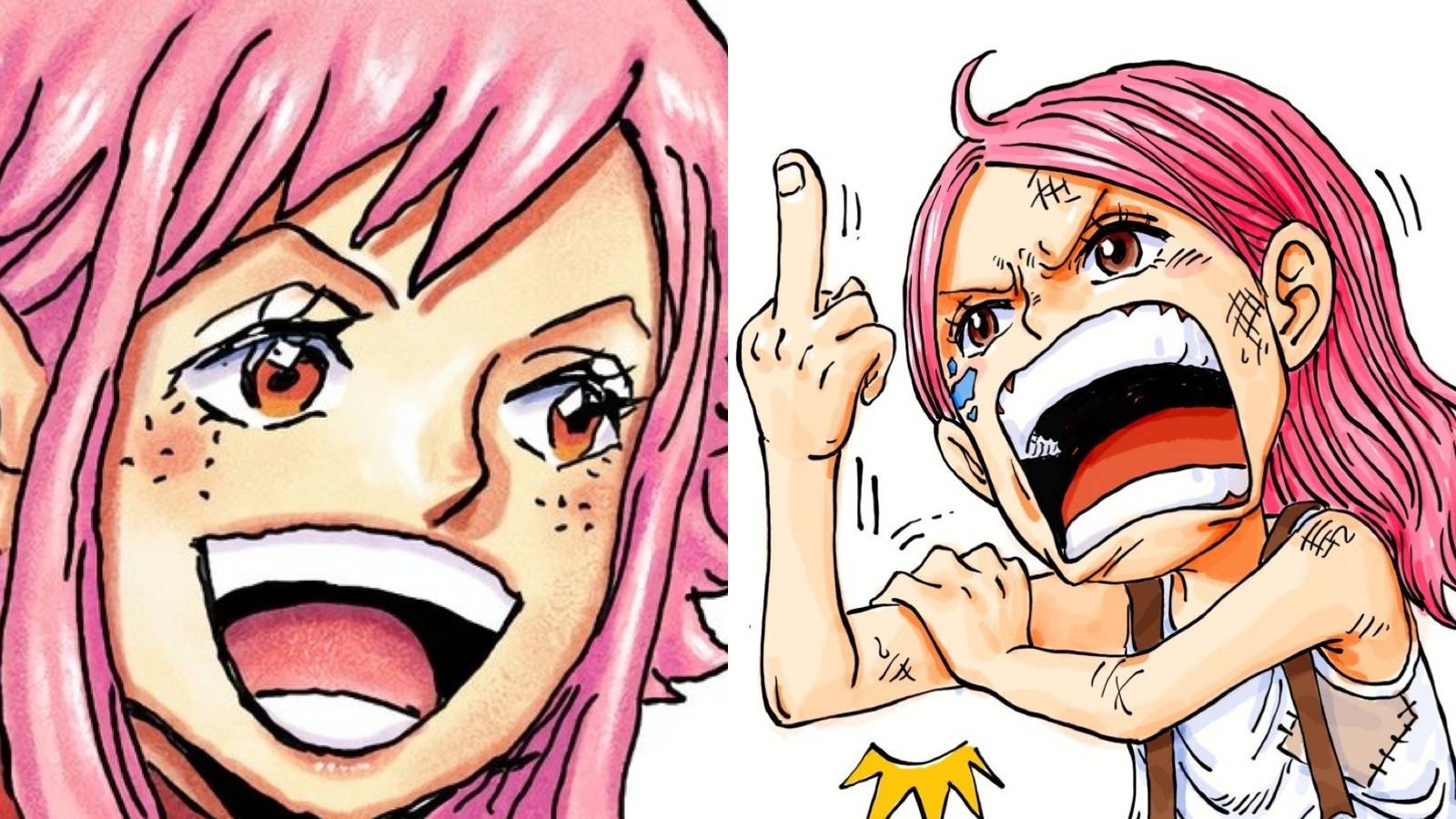 One Piece Chapter 1098: Bonney's Birth