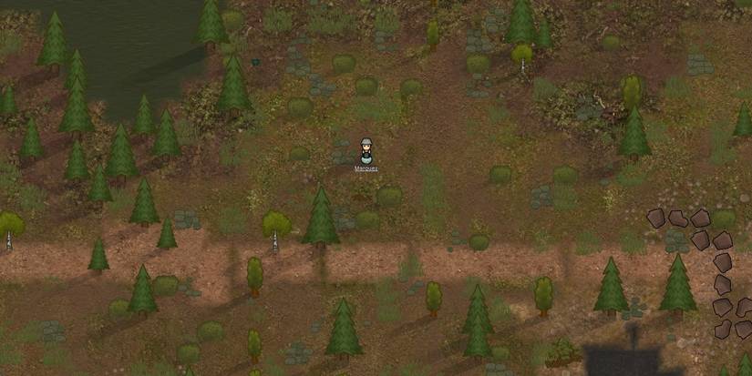 Best Graphics Mods For RimWorld