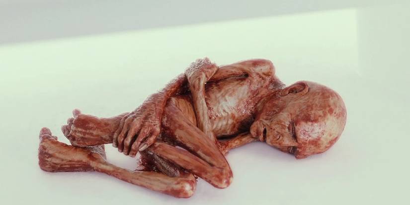 Harry Potter: What Really Happened While Harry Was in Limbo?