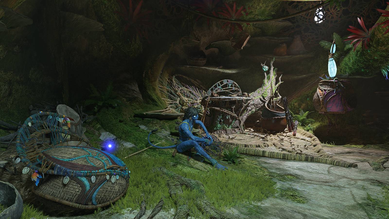 Avatar: Frontiers Of Pandora – How To Store Items
