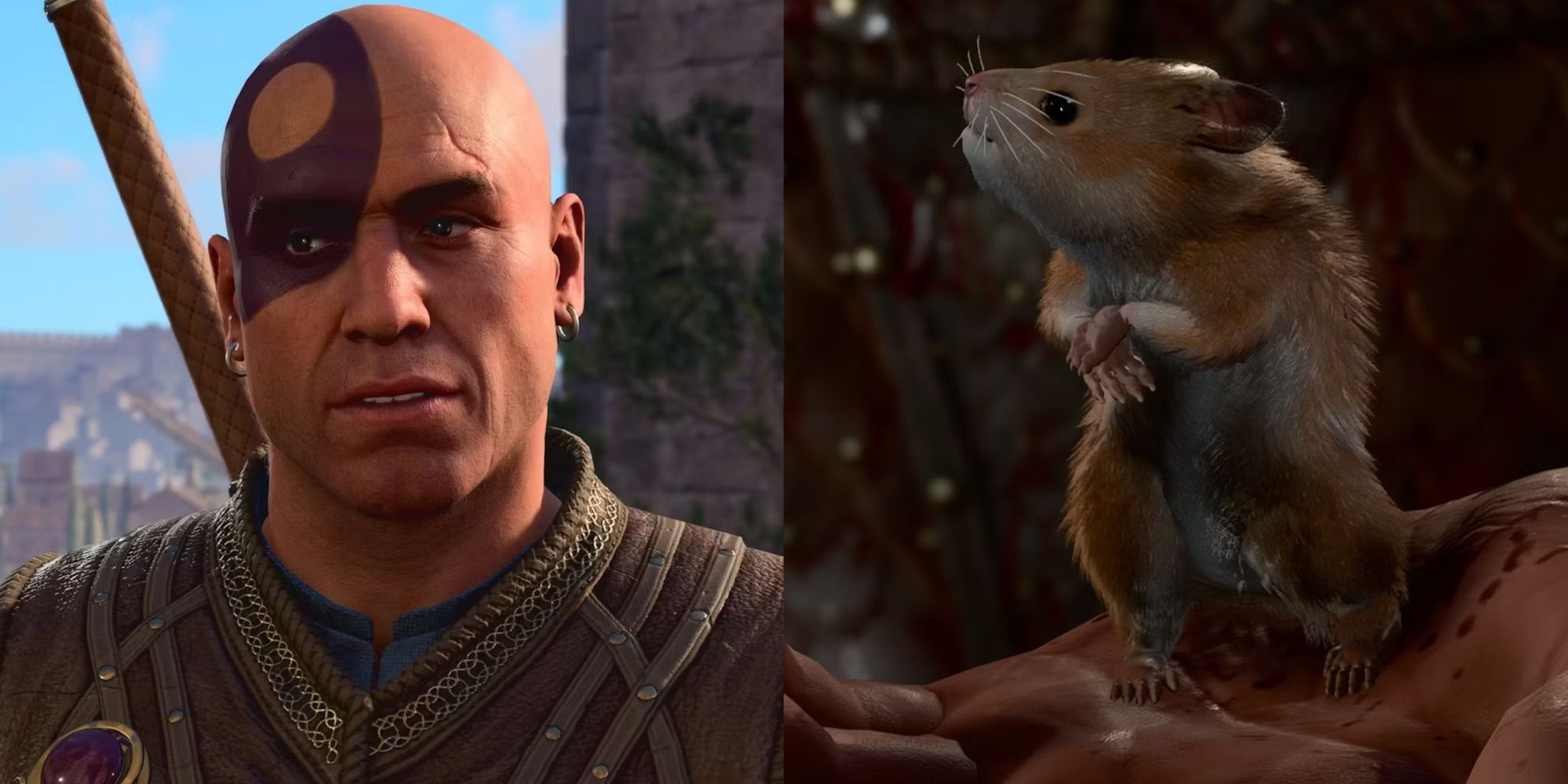 Best Animal And Human Duos In Baldur's Gate 3