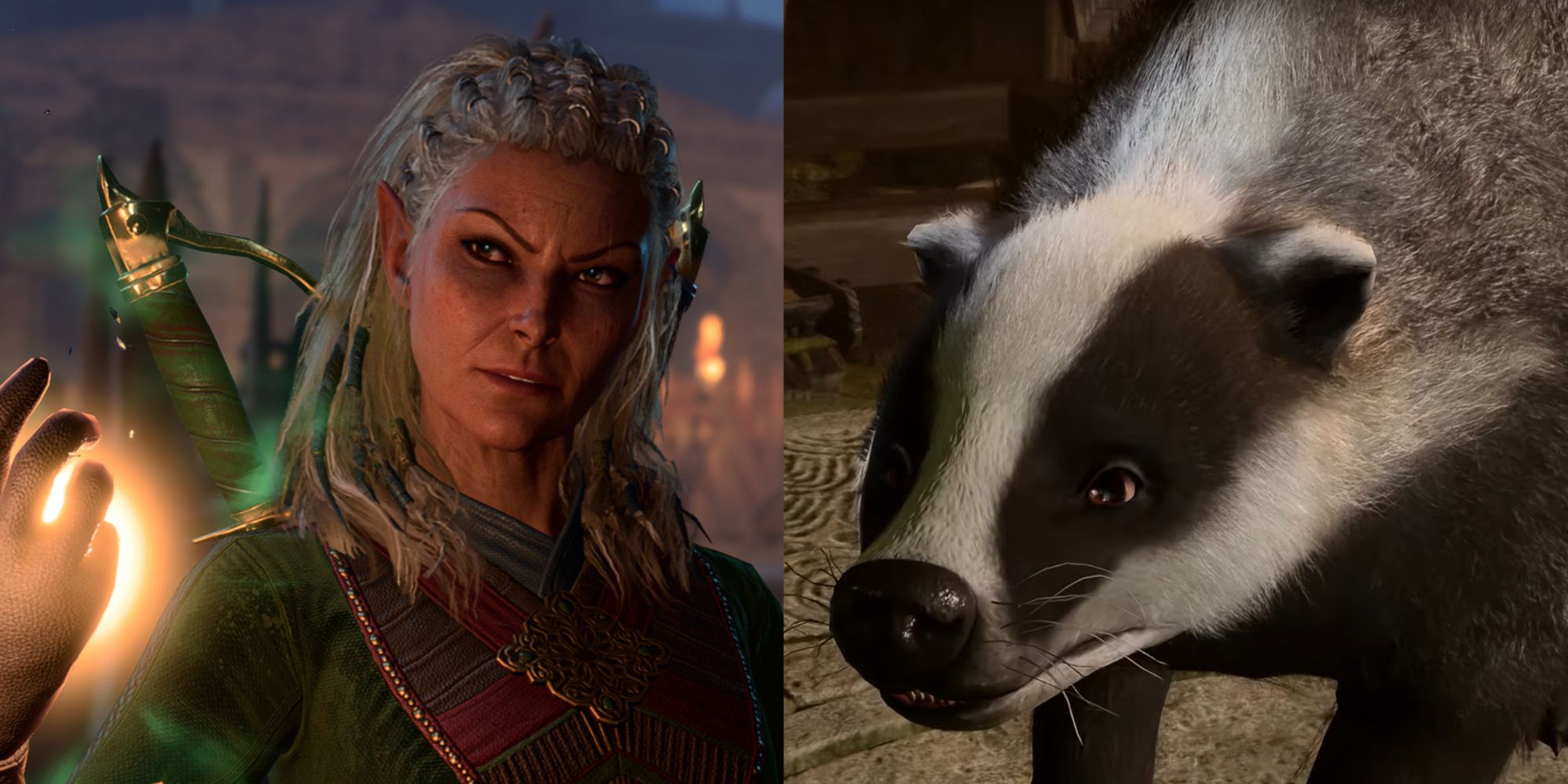 Best Animal And Human Duos In Baldur's Gate 3