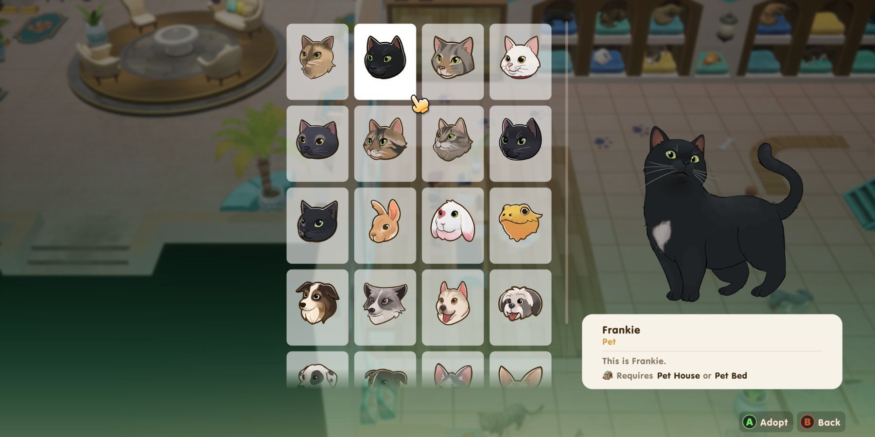 Coral Island: How to Adopt Pets