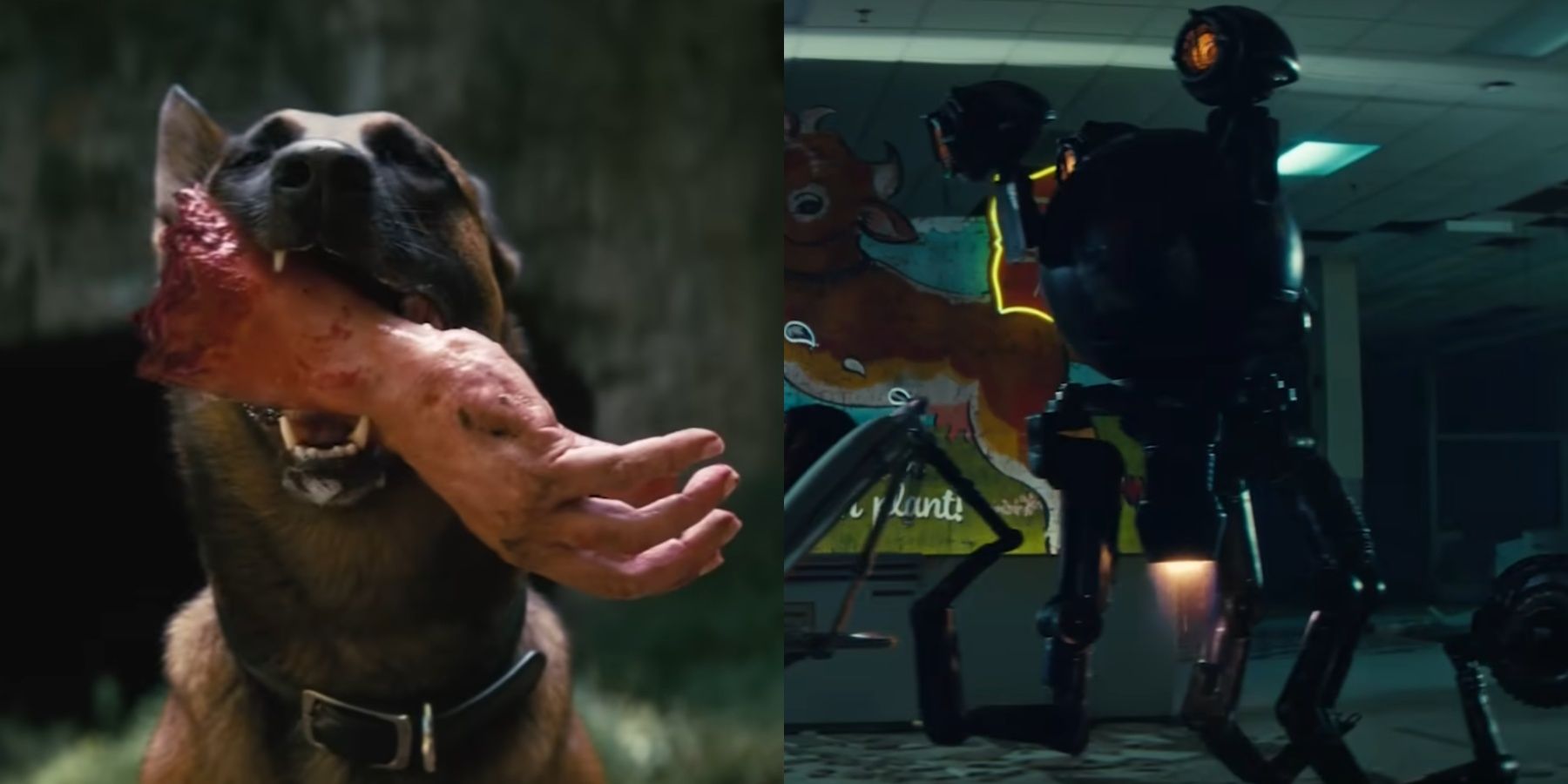 Fallout TV: Trailer Easter Eggs