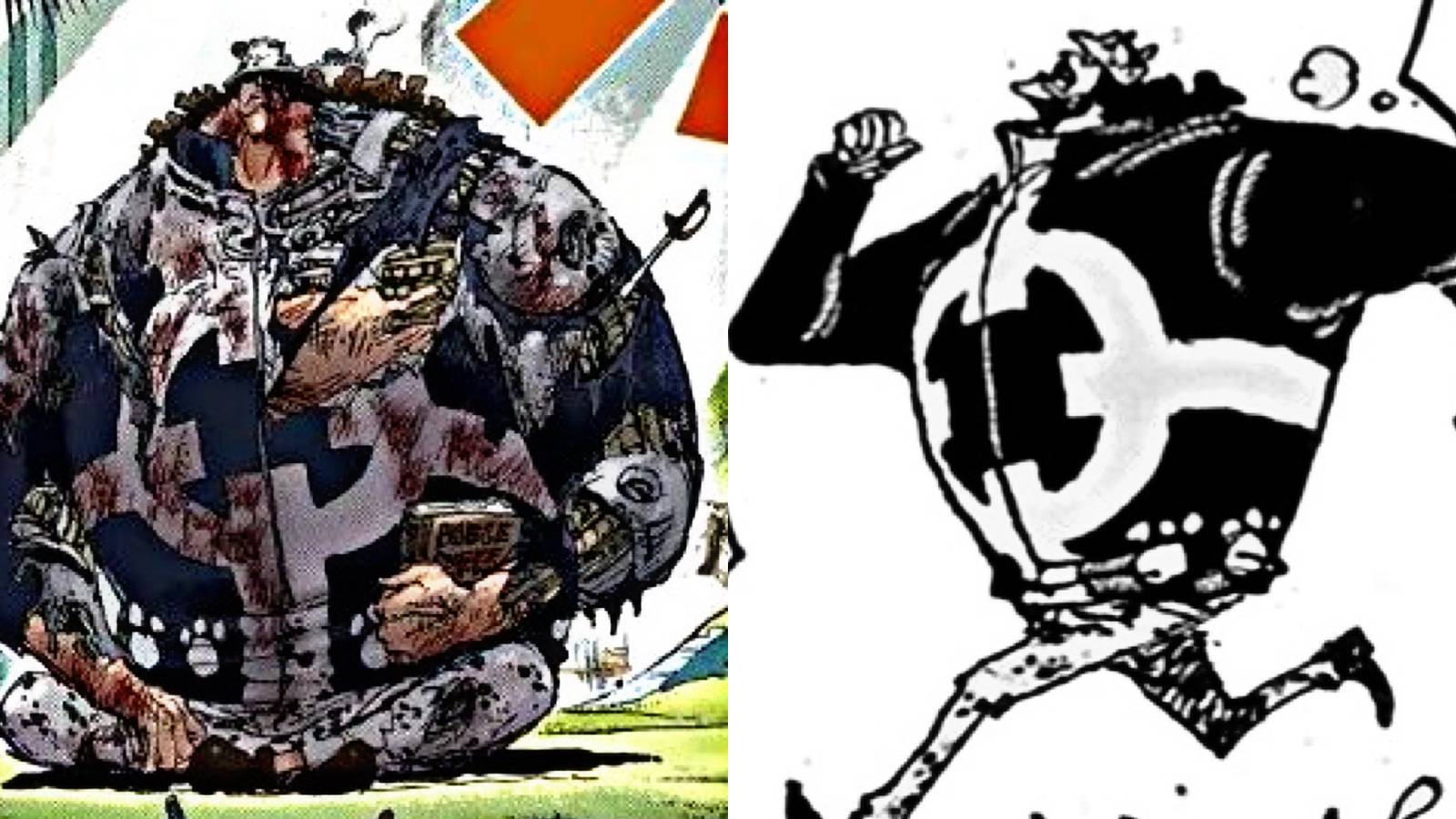 One Piece: Kuma's Hand of Liberation, Explained