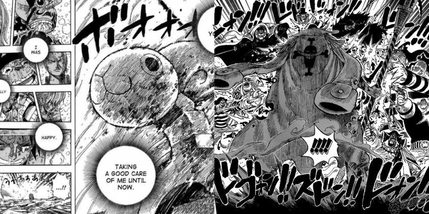 Best Mink Characters In One Piece