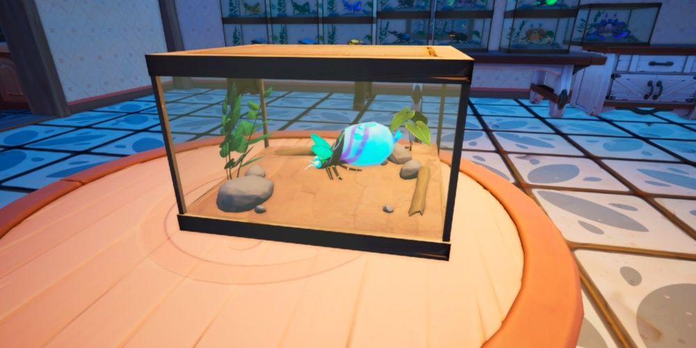 Most Valuable Bugs In Palia & How Much They're Worth