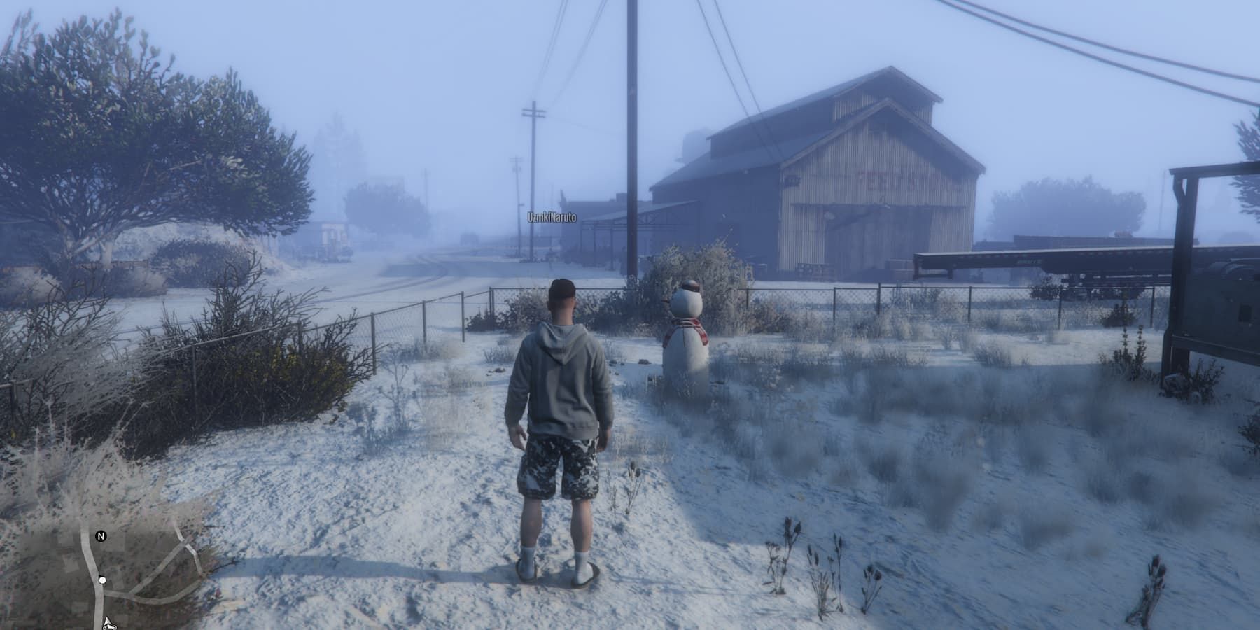 GTA 5 Online: All Snowman Locations