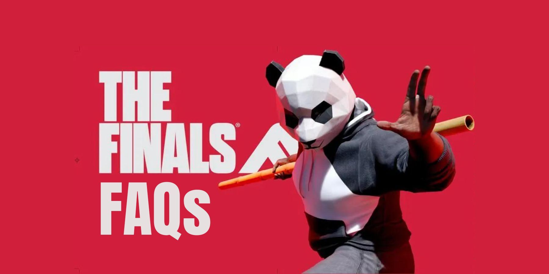 The Finals: FAQs and Important Details