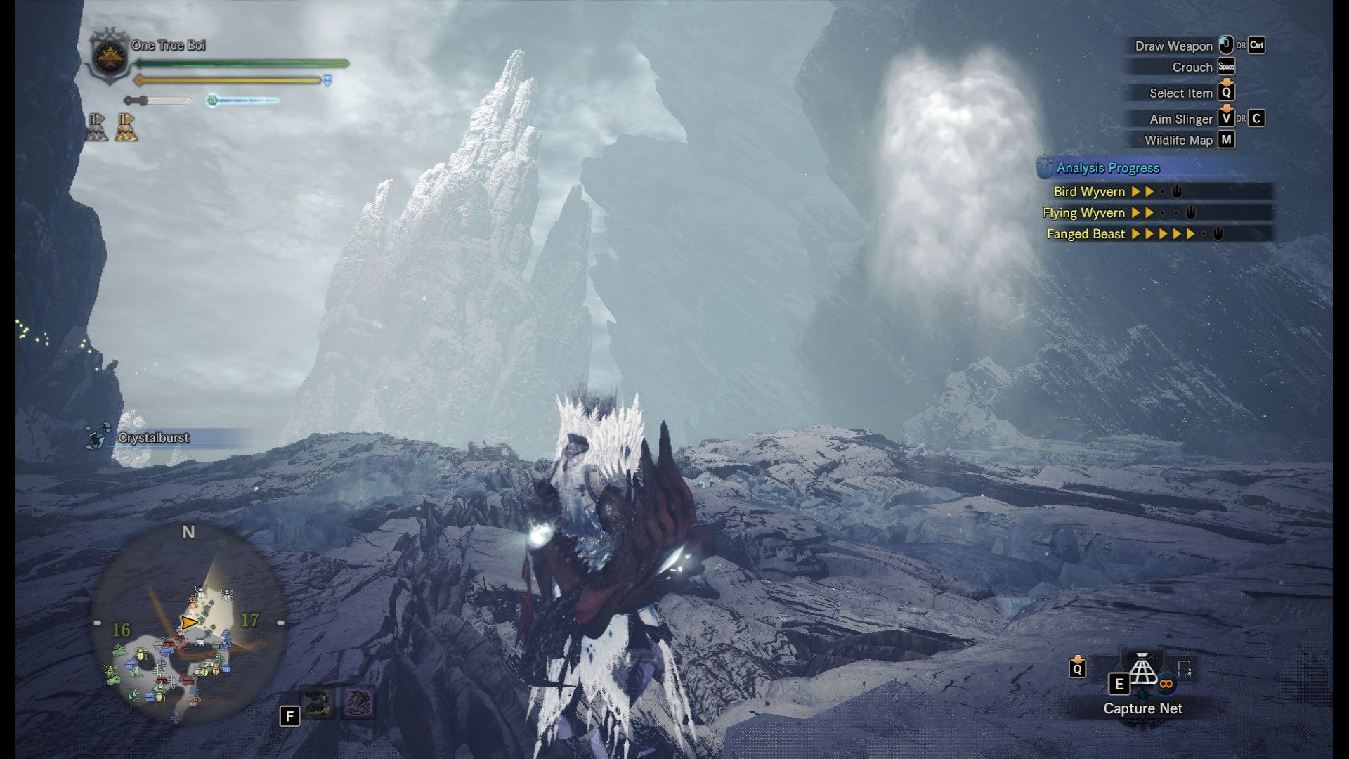 Monster Hunter World: How to Get Rime Crystals