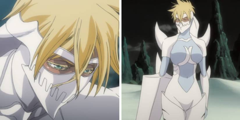 Bleach: The Evolution of an Arrancar, Explained