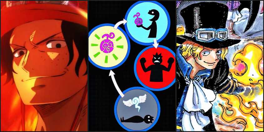 One Piece: Every Devil Fruit in the Whitebeard Pirates