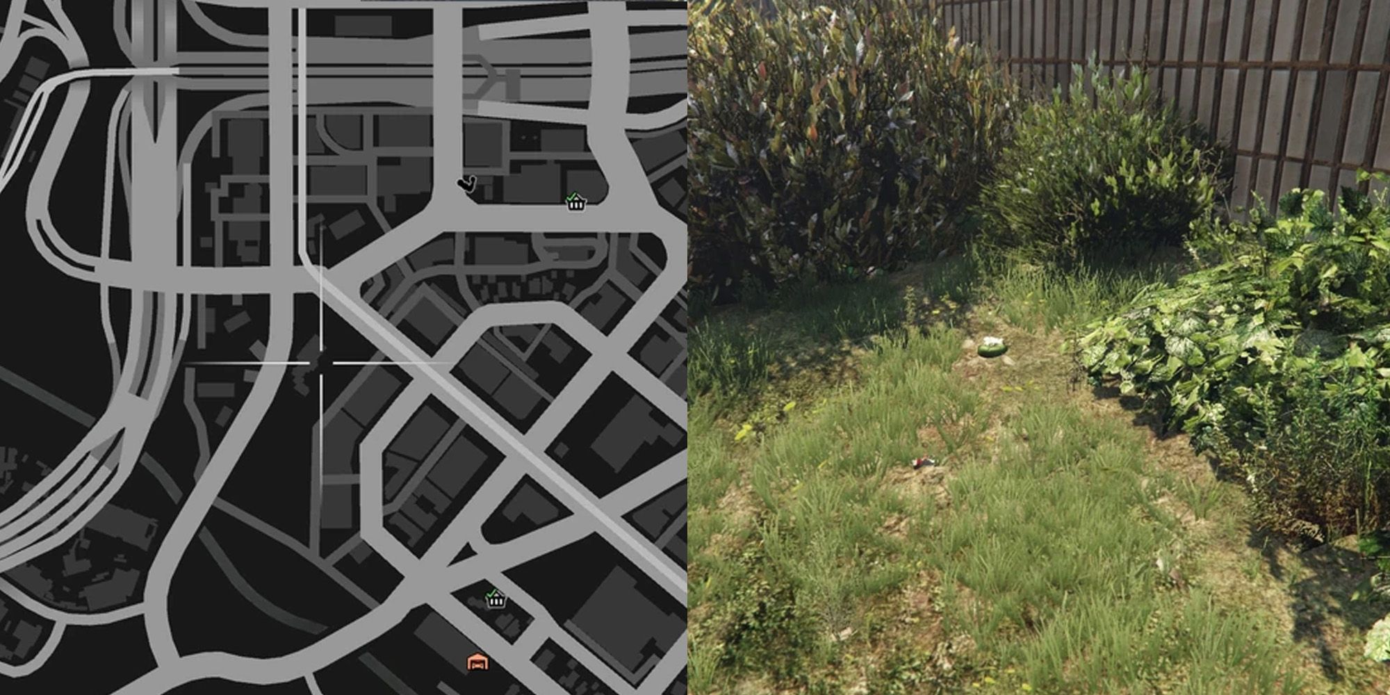 Gta 5 Peyote Plant Map Story Mode GTA Online: All Peyote Plant