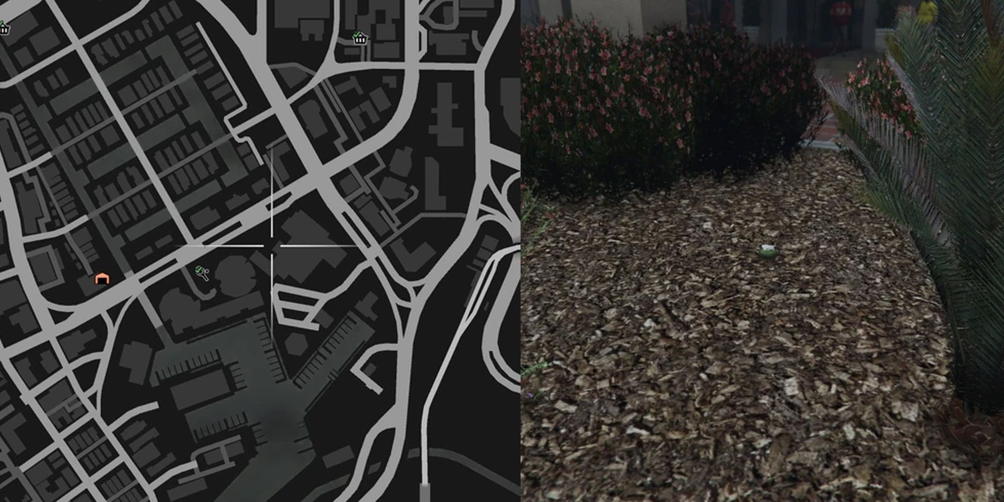 GTA Online: All Peyote Plant Locations (and Animals)