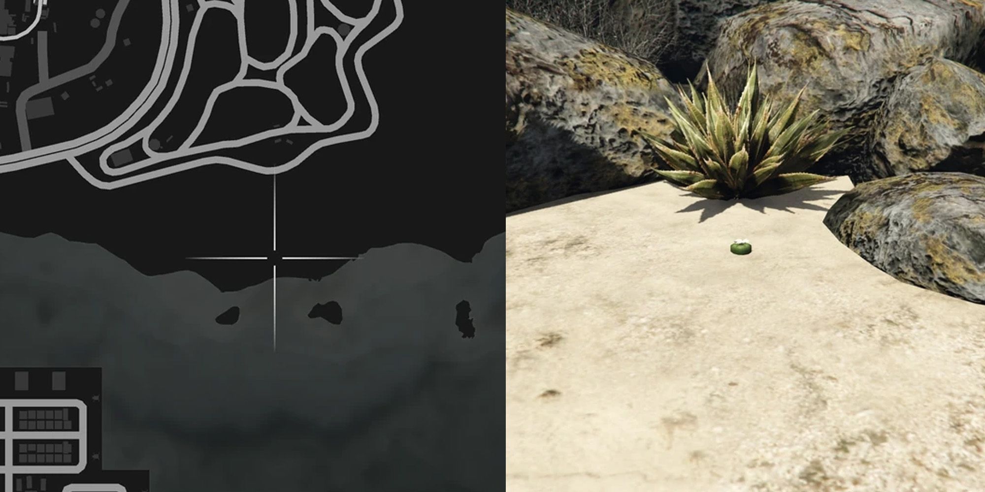 GTA Online: All Peyote Plant Locations (and Animals)