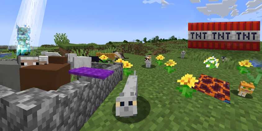Rarest Minecraft Mob Variants