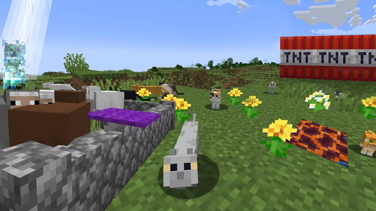 Minecraft Hidden Features