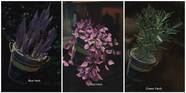 Resident Evil 2 2019 Best Herb Combinations Resident Evil 2 2019 Best Herb Combinations