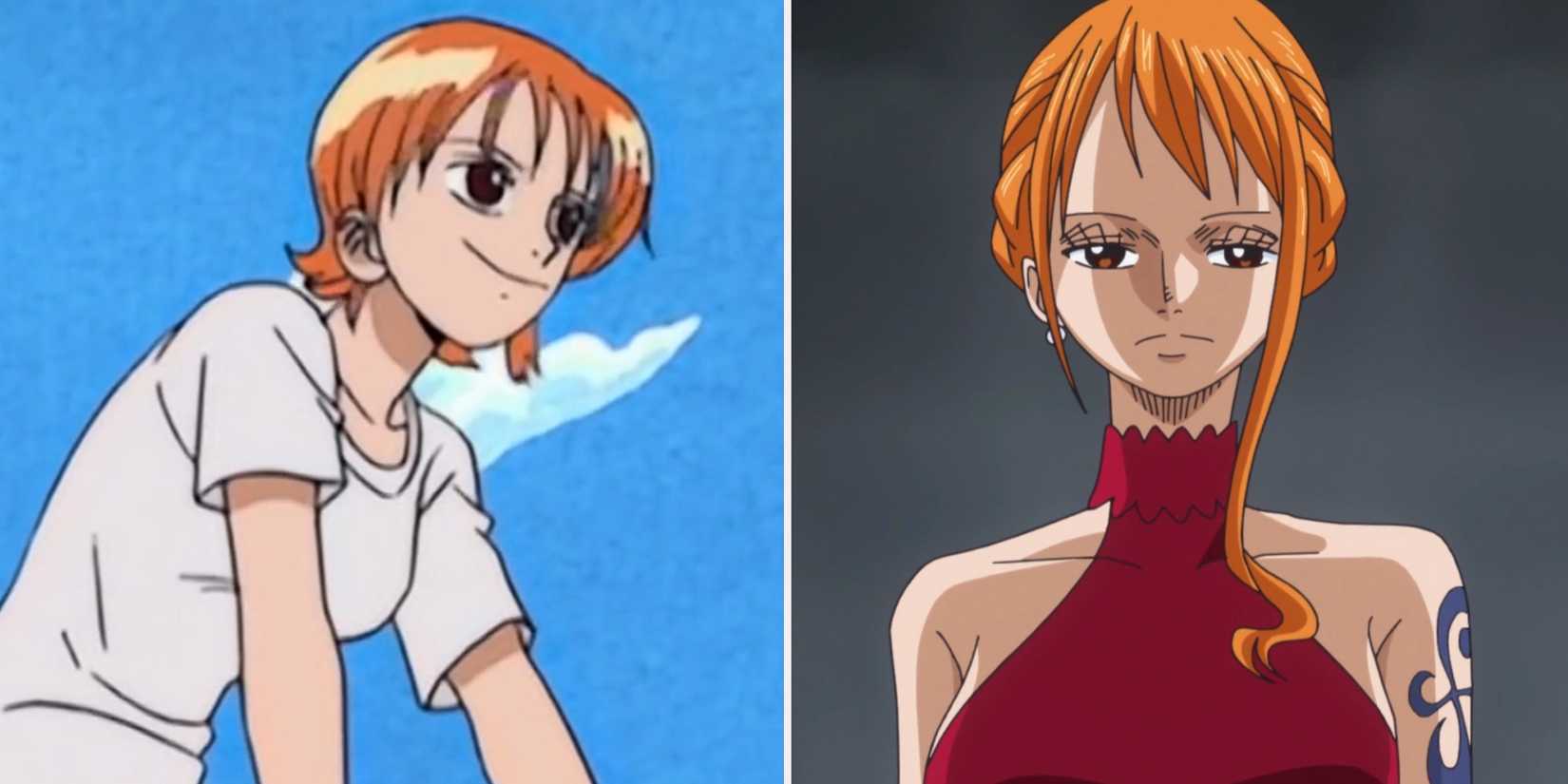 One Piece: The Dream of Each Straw Hat Pirate, Explained