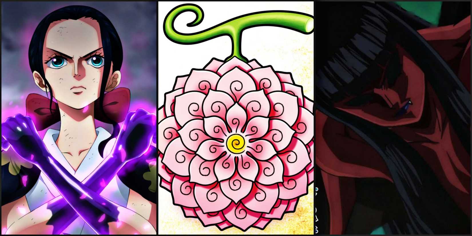 One Piece: Robin's Demonio Fleurs, Explained