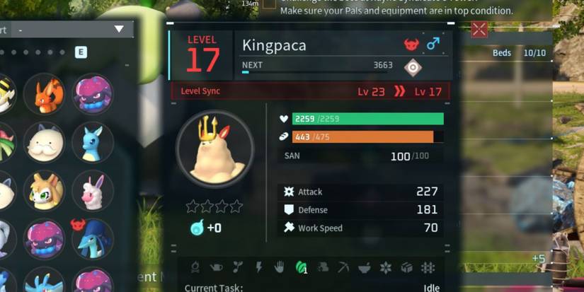 Palworld: What’s the Max Level?