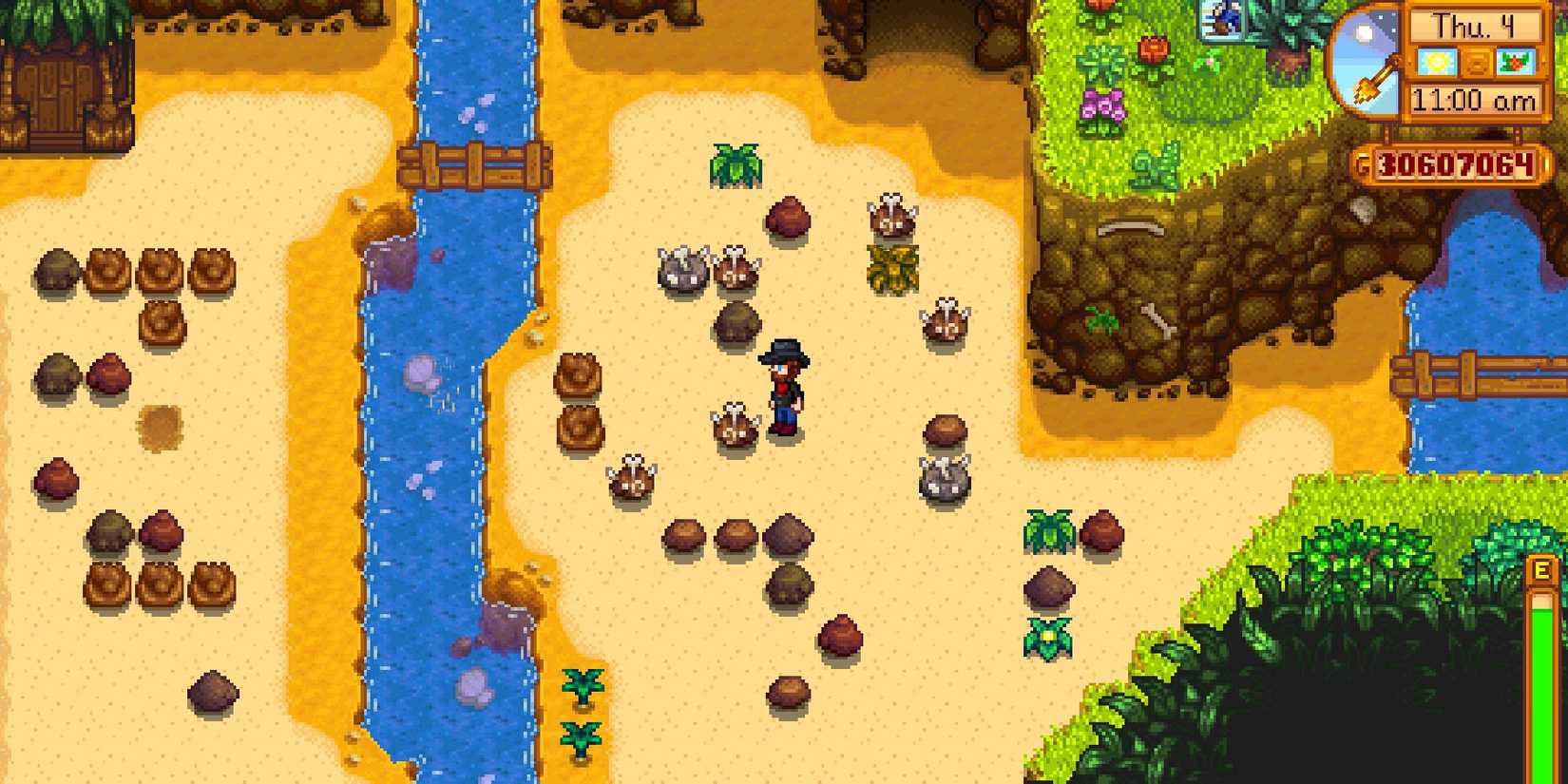 How to Get a Nautilus Shell in Stardew Valley