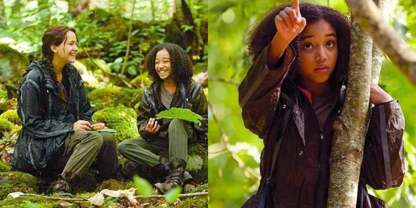The Hunger Games: Rue's Death, Explained