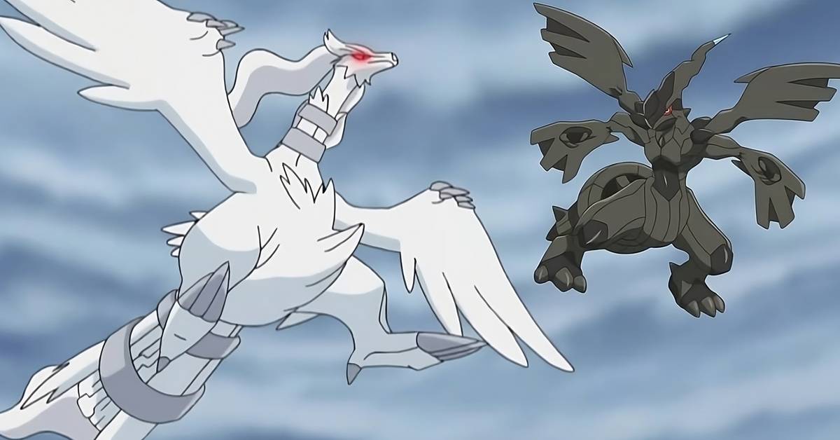 Legendary Pokemon Reshiram Real Life Zekrom And Reshiram Zekrom