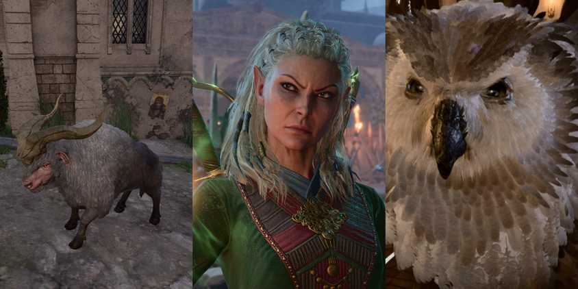 Baldur's Gate 3: Best Druid Class Build