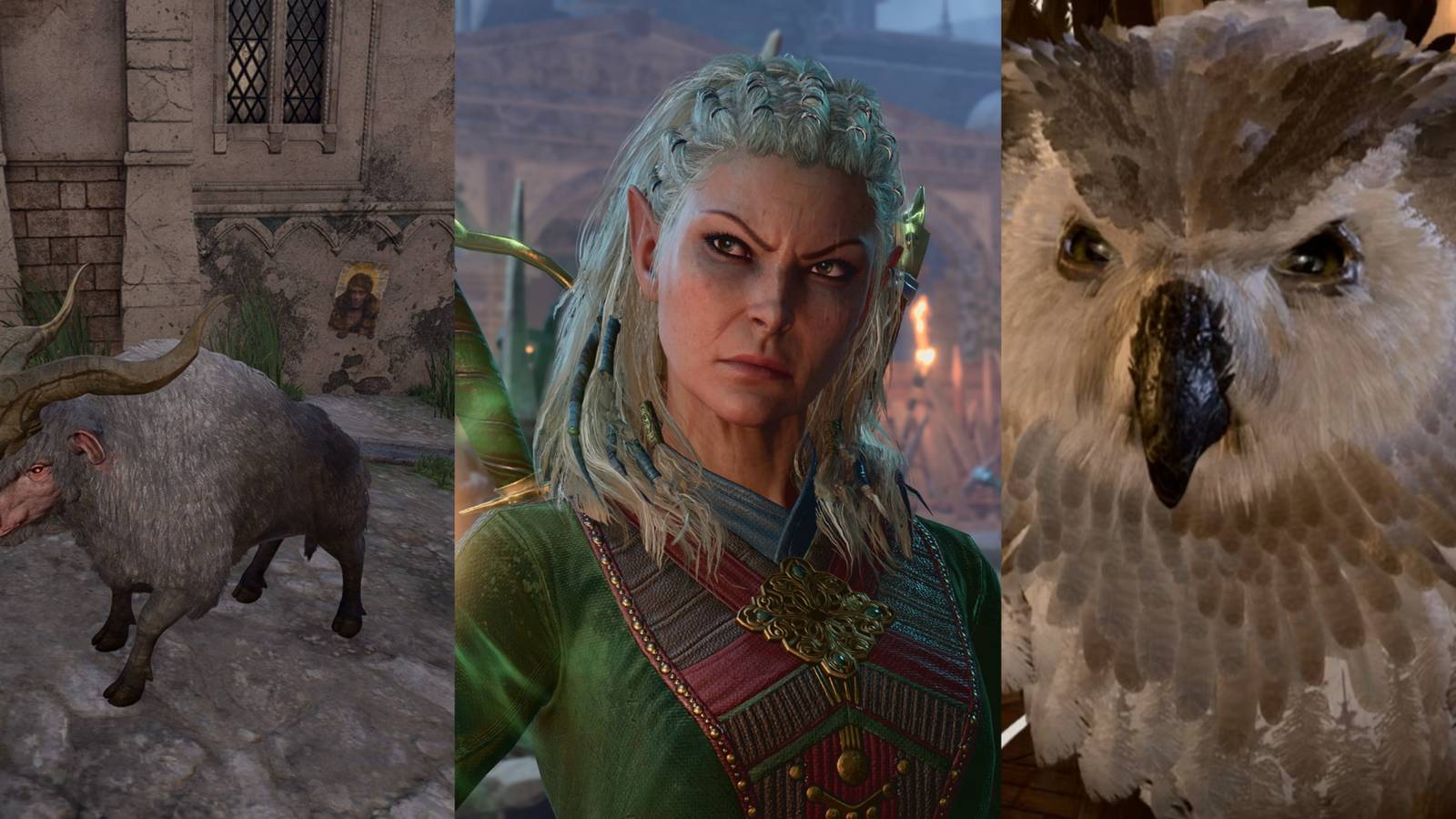 Underrated Wild Shape Options In Baldur's Gate 3