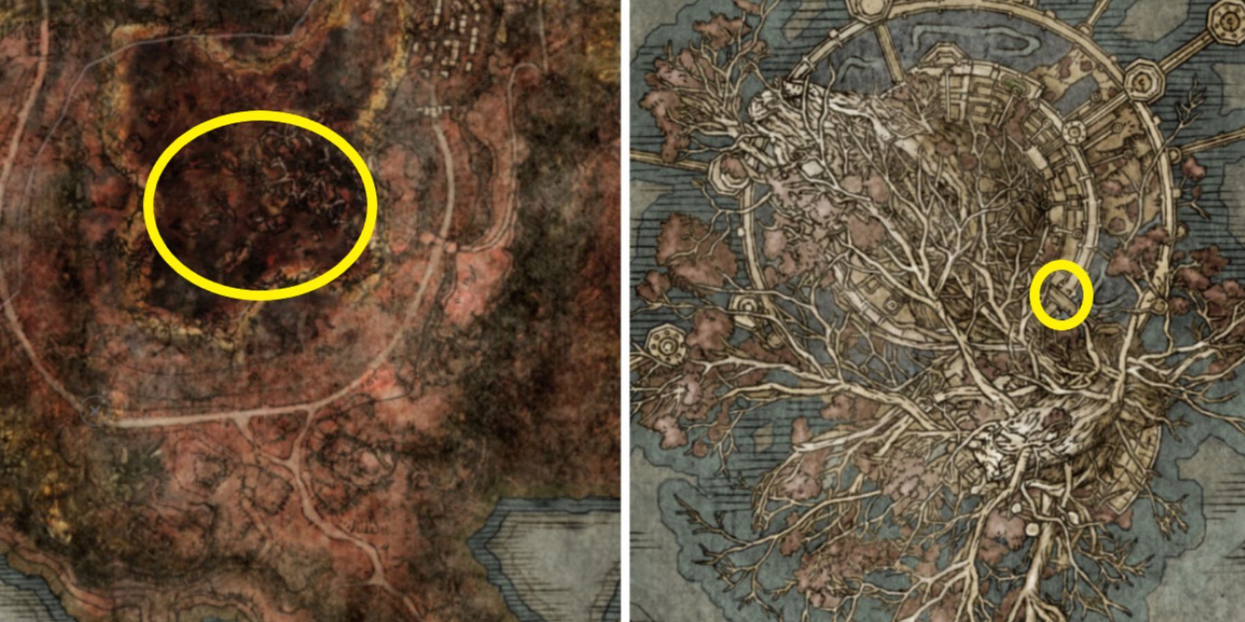 How To Get and Use Miquella's Lily in Elden Ring